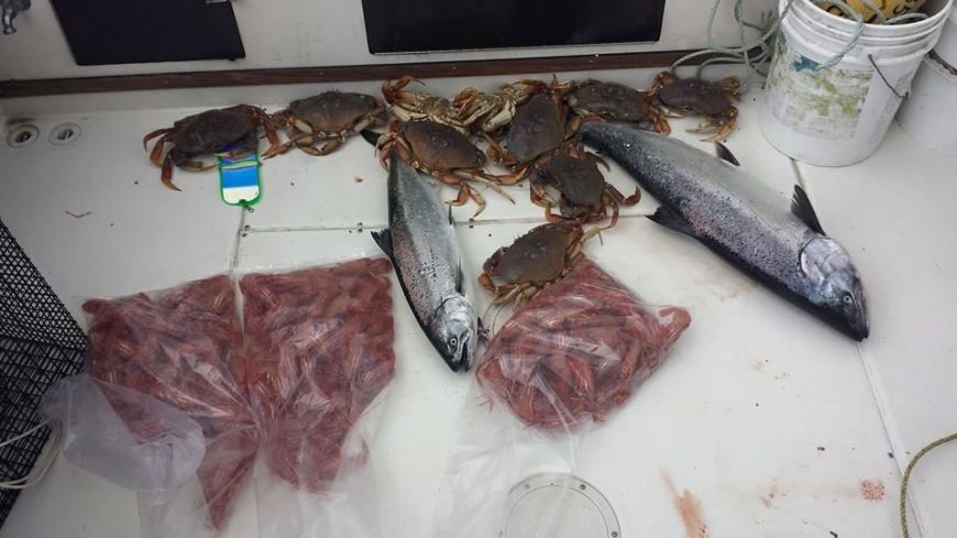 Vancouver Fishing Report, April 8th - Bon Chovy Salmon Fishing Charters