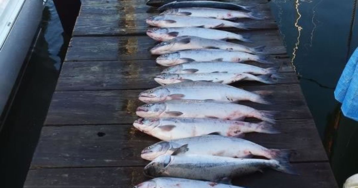 Vancouver Fishig Report, Septemper 9th/14 - Bon Chovy Salmon Fishing ...