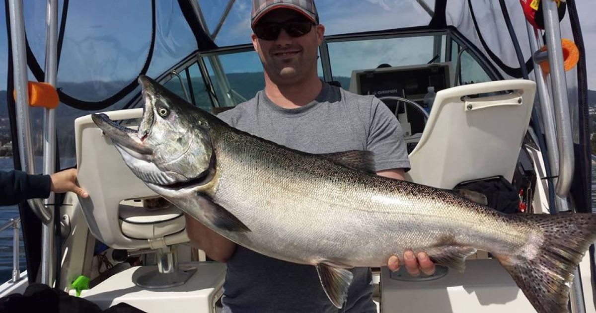 Vancouver Fishing Report, Sept 9th - Bon Chovy Salmon Fishing Charters