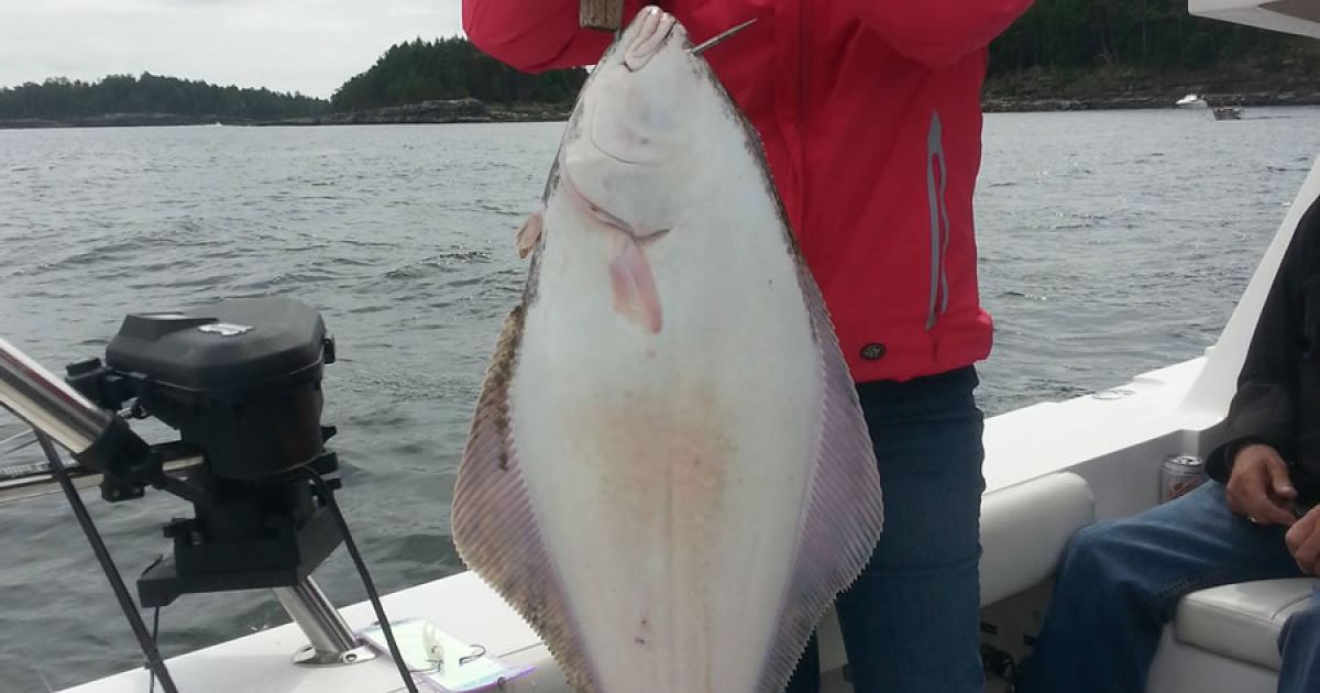 Vancouver Fishing Update, May 26th - Bon Chovy Salmon Fishing Charters