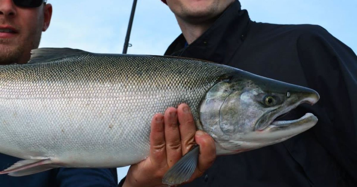 Vancouver Fishing Report, October 7th - Bon Chovy Salmon Fishing Charters