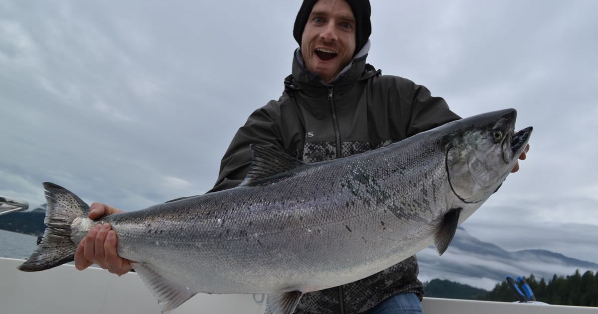 Vancouver Fishing Report, Feb 17th - Bon Chovy Salmon Fishing Charters