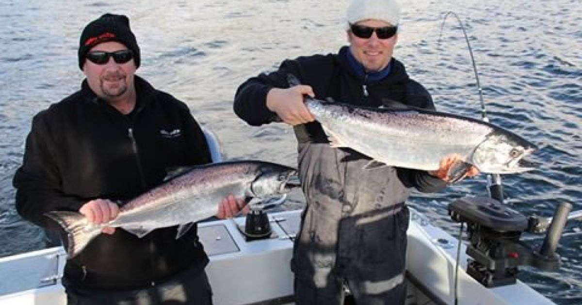Winter Chinook Salmon Update - Bon Chovy Salmon Fishing Charters