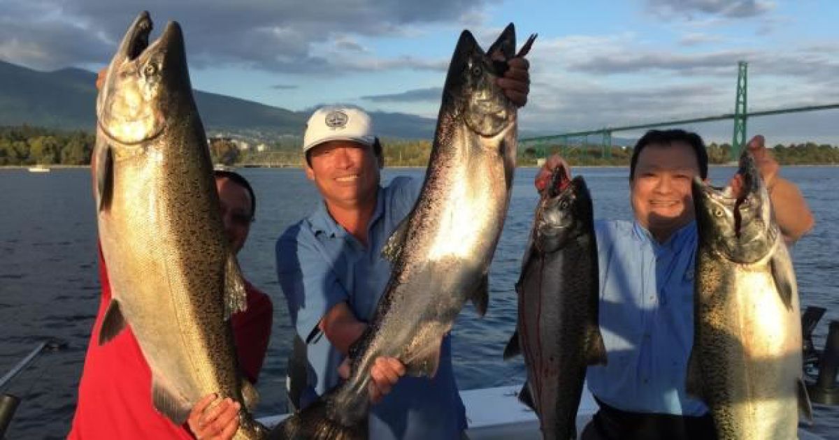Vancouver Fishing Report, Sept 23rd - Bon Chovy Salmon Fishing Charters